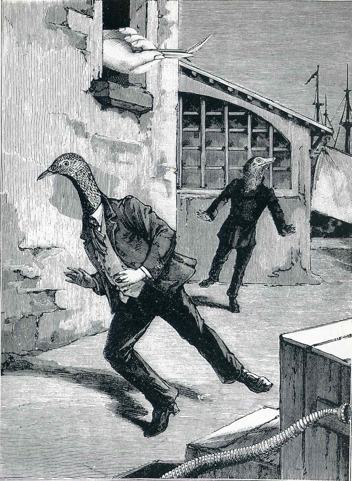 Max Ernst Drawings